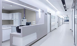 Browse Clipsal Lighting products