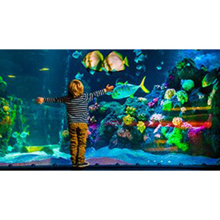 Club Clipsal for Electricians – Membership Registration - Clipsal by ...