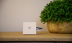 Clipsal Wiser Installer Support